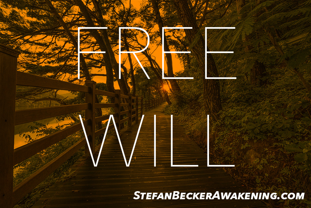 Free Will – Stefan Becker : Awakening